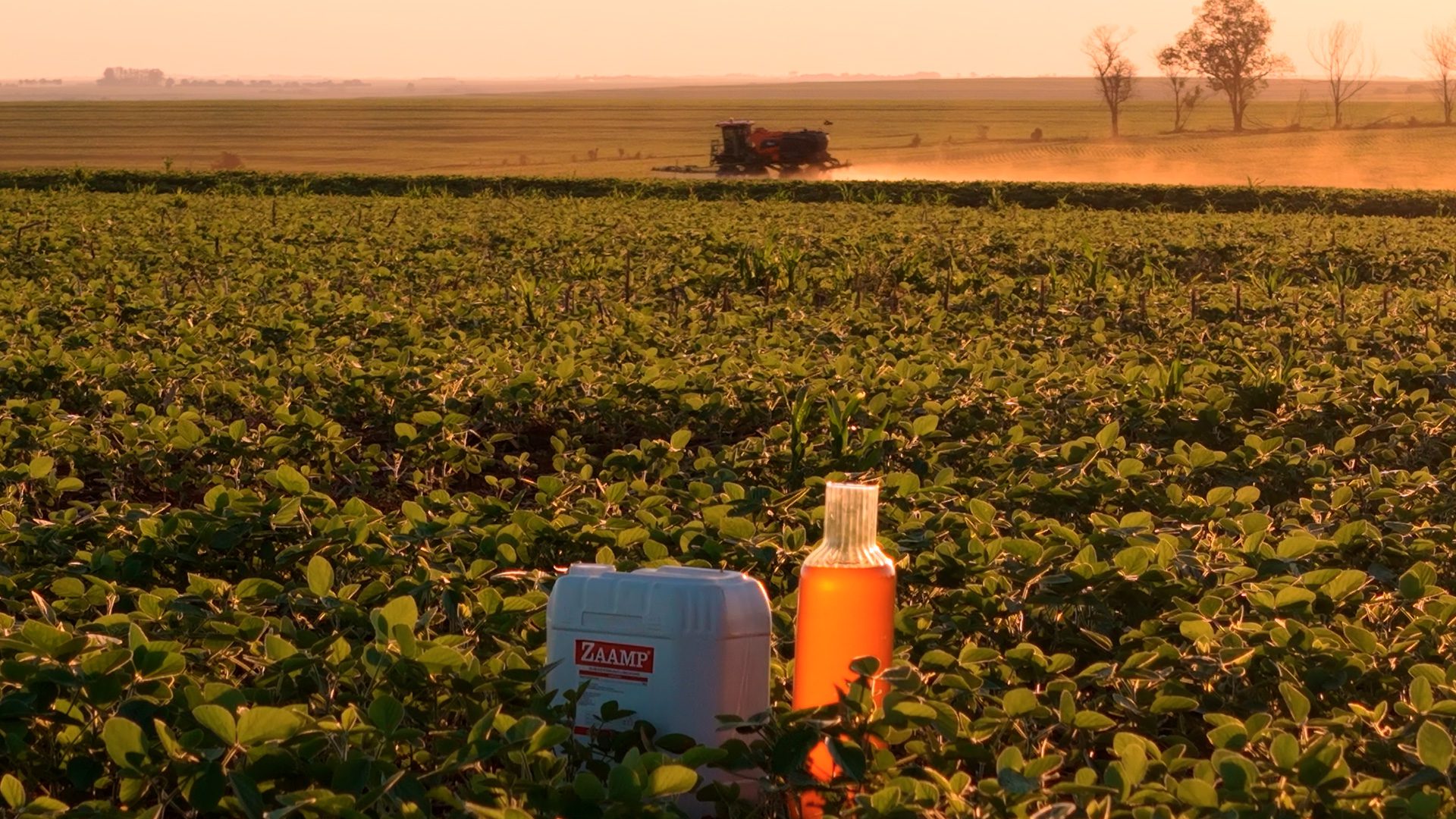 ¿Cómo Elegir el Coadyuvante Ideal para tu Cultivo? - ZAAMP Tecnologia ...